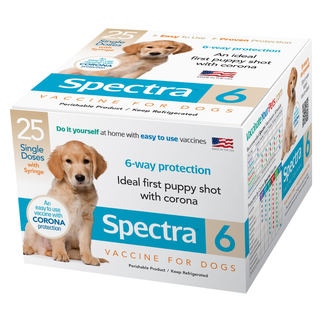 Canine Spectra 6 Vaccine, Modified Live and Killed Virus, Tray of 25 ...